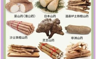 山药什么人不能吃_山药禁忌人群有哪些