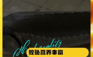 鳇鱼怎么做好吃_鳇鱼营养价值高吗