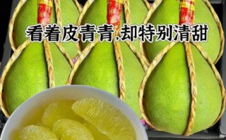 柚子英文怎么读_yuzu发音详解