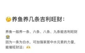 锦鲤养几条最好最旺财_风水数量与寓意全解析