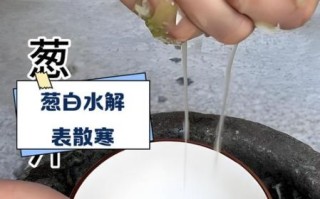 葱白水的做法_葱白水的功效与作用