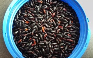 黑米八宝粥怎么做_黑米八宝粥需要泡多久