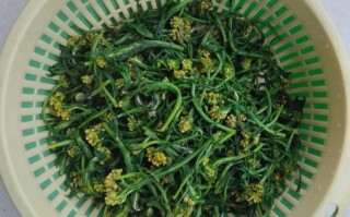清明菜怎么做好吃_清明菜的家常做法