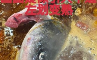 翻车鱼为什么会死得那么惨_翻车鱼死法真的残忍吗