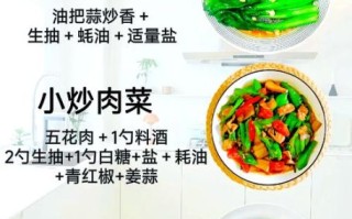 家庭菜谱大全100道炒菜_新手怎么选