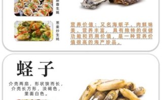 食用贝壳有哪些种类_如何挑选新鲜贝类