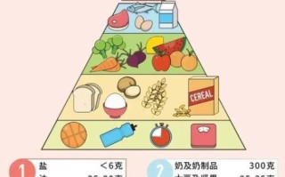 食物营养与配餐_如何科学搭配一日三餐