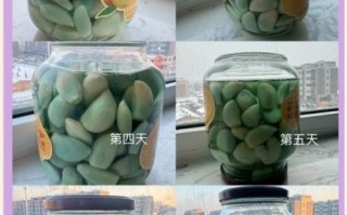 家庭怎样做腊八蒜_腊八蒜变绿秘诀