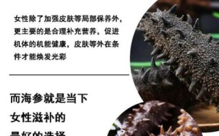 女人长期吃海参的好处_海参对女人有哪些功效