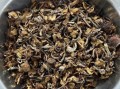 黑龙江伊春十大特产有哪些_价格是多少