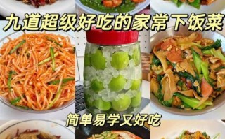 家常菜谱100道怎么做_新手零失败技巧