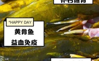 黄骨鱼的功效与禁忌_什么人不能吃