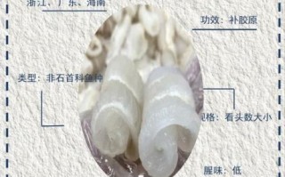 美国红鱼好吃吗_美国红鱼口感怎么样