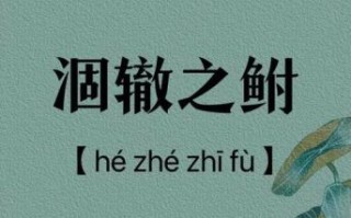 涸辙之鲋怎么读_涸辙之鲋的寓意是什么