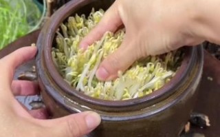 在家怎么发豆芽_发豆芽最简单操作5个步骤