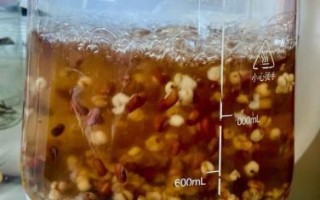 薏米怎么煮_薏米煮多久才熟