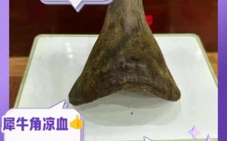 犀牛角的功效与作用_犀牛角能治什么病