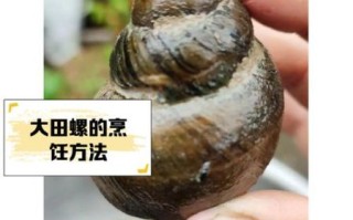 田螺养殖技术_田螺怎么养殖