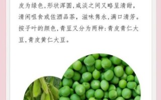 青豆和黄豆哪个更营养_青豆和黄豆的功效区别