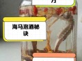 海马泡酒配方补肾壮阳_海马壮阳酒怎么泡才有效