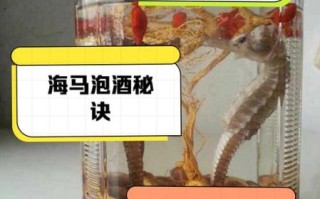海马泡酒配方补肾壮阳_海马壮阳酒怎么泡才有效