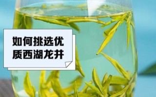 西湖龙井茶的功效与作用_西湖龙井茶适合什么人喝