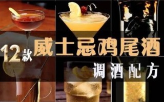 世界25款经典鸡尾酒有哪些_如何在家调制