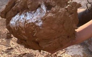 野外叫花鸡怎么做_正宗做法步骤