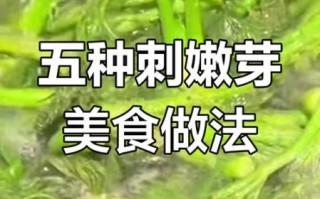 刺嫩芽怎么做好吃_刺嫩芽的家常做法