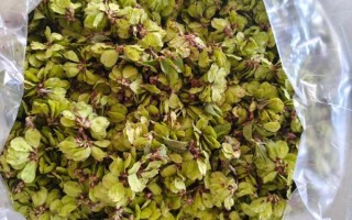 榆钱多少钱一斤_榆钱价格受哪些因素影响