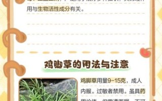 鸡爪草的功效与作用_鸡爪草能治什么病