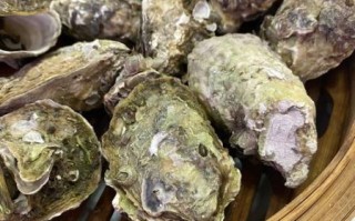 隔水蒸生蚝要蒸多久_生蚝蒸几分钟才熟