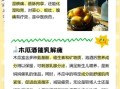 红酒炖木瓜汤的做法_木瓜汤的功效与禁忌