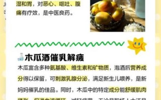 红酒炖木瓜汤的做法_木瓜汤的功效与禁忌