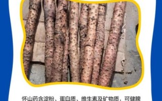 怀山药多少钱一斤_怀山药价格走势