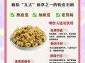 铁皮石斛汤怎么煲_铁皮石斛汤适合什么人喝