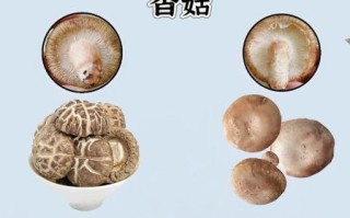 香菇和金针菇的区别_如何挑选新鲜菇类