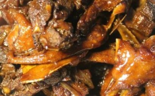 陈皮鸭怎么做才正宗_陈皮鸭正宗做法