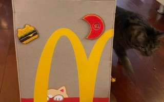 麦当劳猫窝怎么领取_麦当劳猫窝多少钱