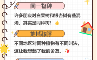 百果树是不是银杏树_百果树与银杏树的区别