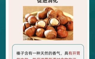 大榛子的功效与作用及禁忌_大榛子一天吃多少合适