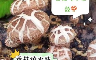 香菇用不用焯水_焯水后口感会变差吗