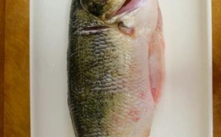 鲈鱼怎样清蒸好吃_鲈鱼清蒸做法步骤