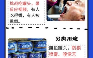 鲱鱼罐头为什么这么臭_如何正确打开