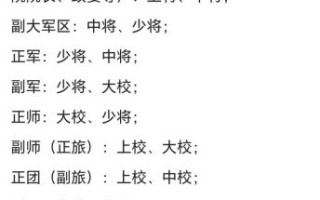 上校相当于政府什么官_军队级别对照表