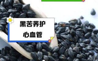 黑苦荞茶的功效与作用及禁忌_黑苦荞茶适合什么人喝