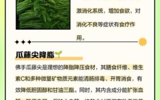 佛手瓜藤的营养价值_佛手瓜藤的功效与作用