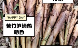苦竹笋的功效与作用_苦竹笋怎么吃不上火