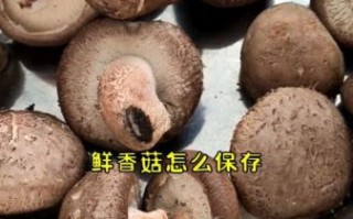鲜香菇怎么保存_鲜香菇图片怎么拍才好看