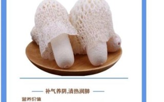 竹荪是什么东西_竹荪怎么吃最好